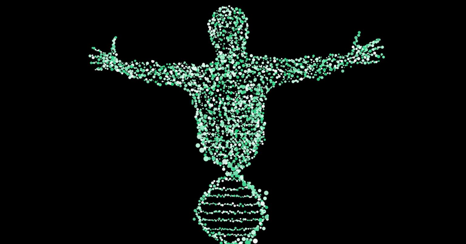 Some Important Pieces Of Information You Should Know About DNA