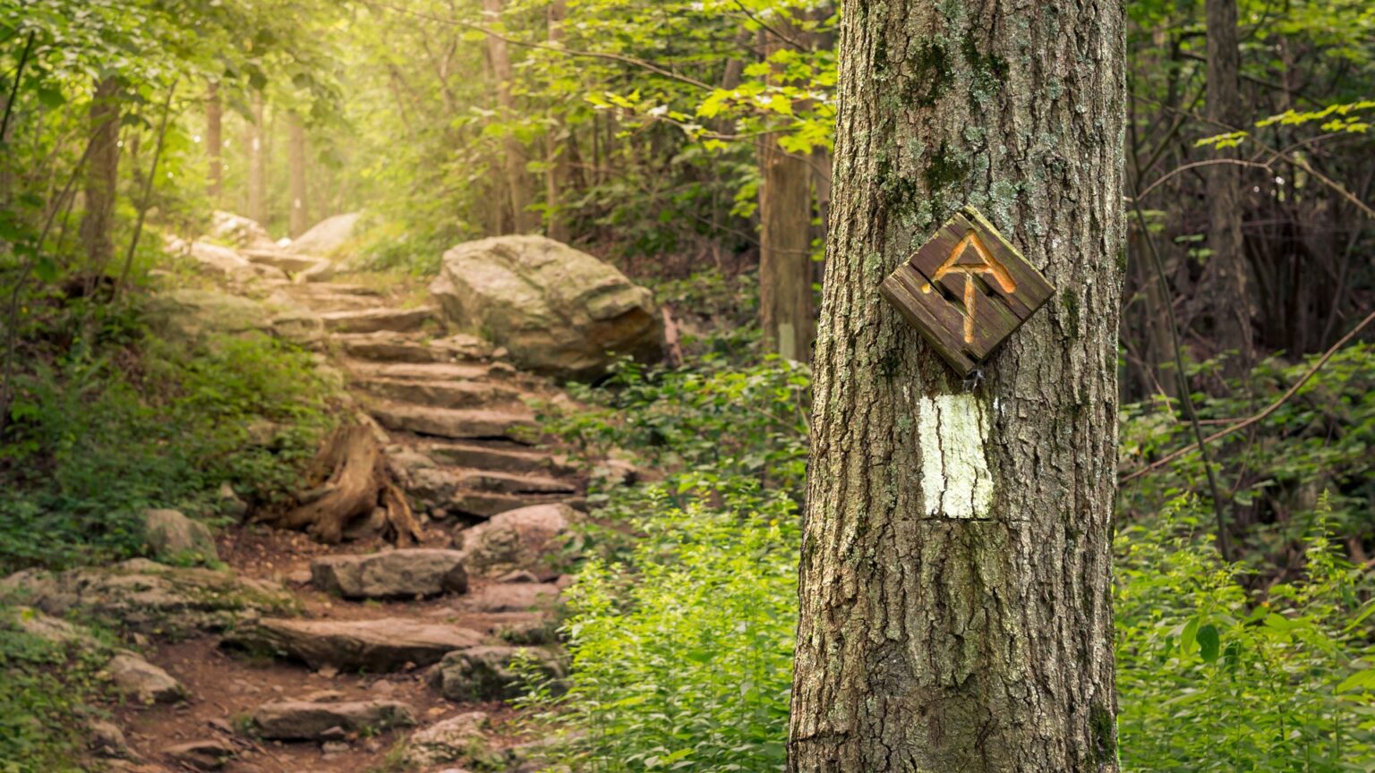 A Guide to the 7 Best Hikes in Pennsylvania
