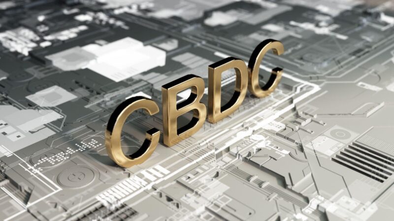Exploring Central Bank Digital Currencies (CBDCs)