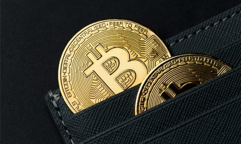 Cryptocurrency and Privacy: Balancing Anonymity