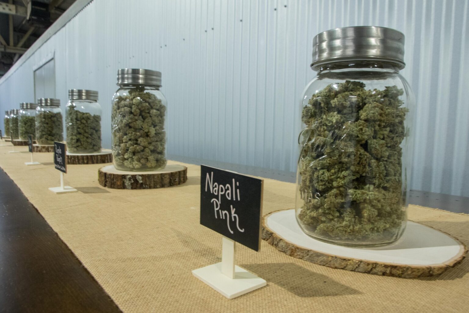 The Mile High City's Medical Cannabis Revolution: How Denver ...